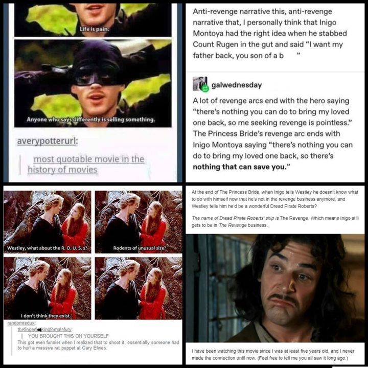 You May Not Survive These 'The Princess Bride' Posts - modernmic.com