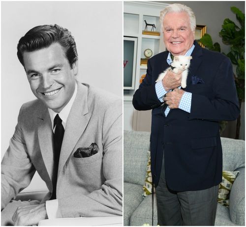 40+ Celebrities Over 90 When They Were Young vs. Now - thedaddest.com