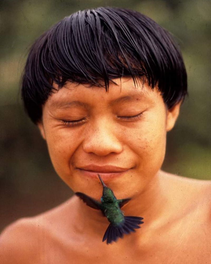 50 Weird Pics of Things That Are Completely Normal in Brazil ...