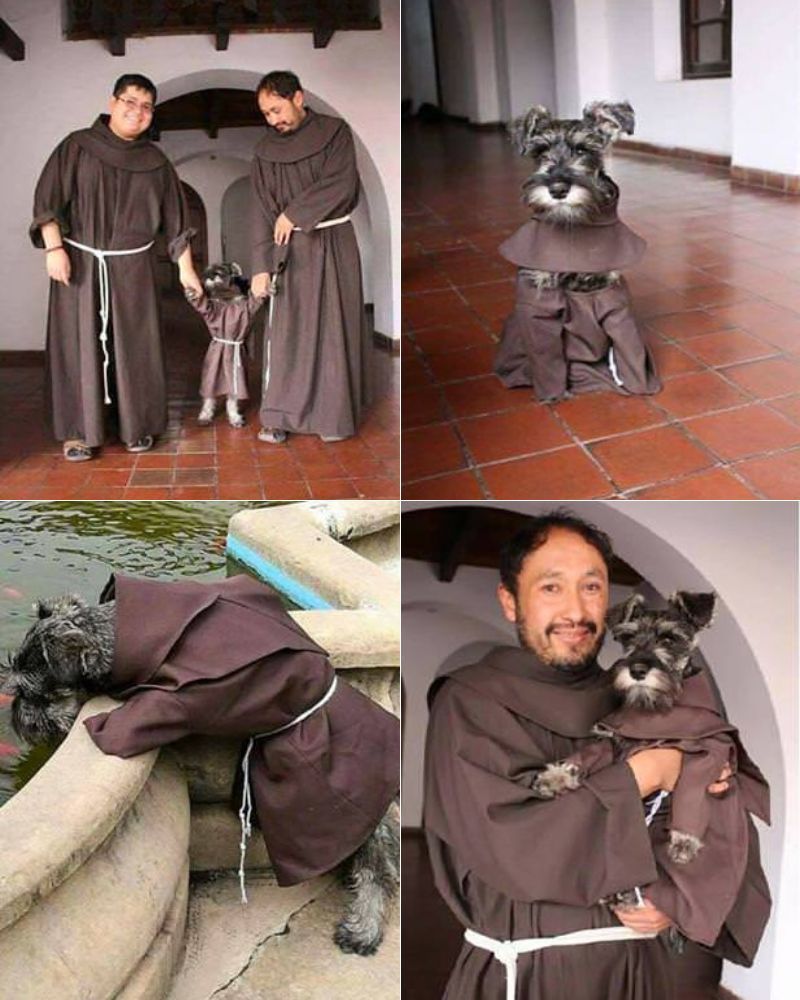 50 Weird Pics of Things That Are Completely Normal in Brazil ...